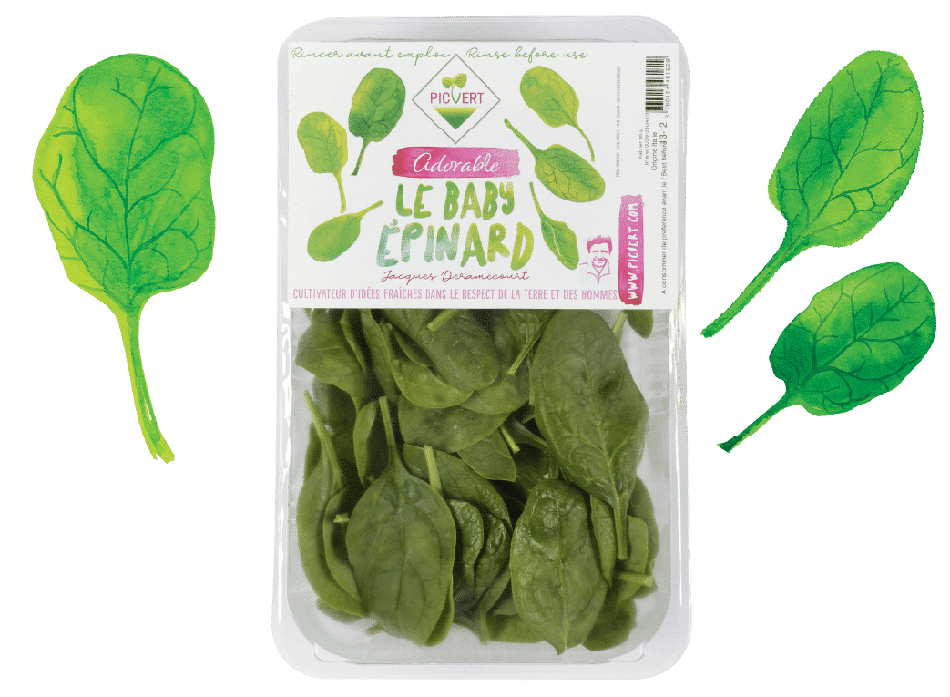 L’épinard | Picvert