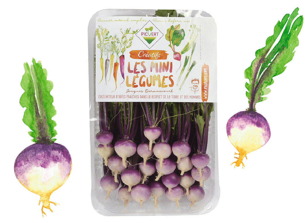 Le navet | Picvert