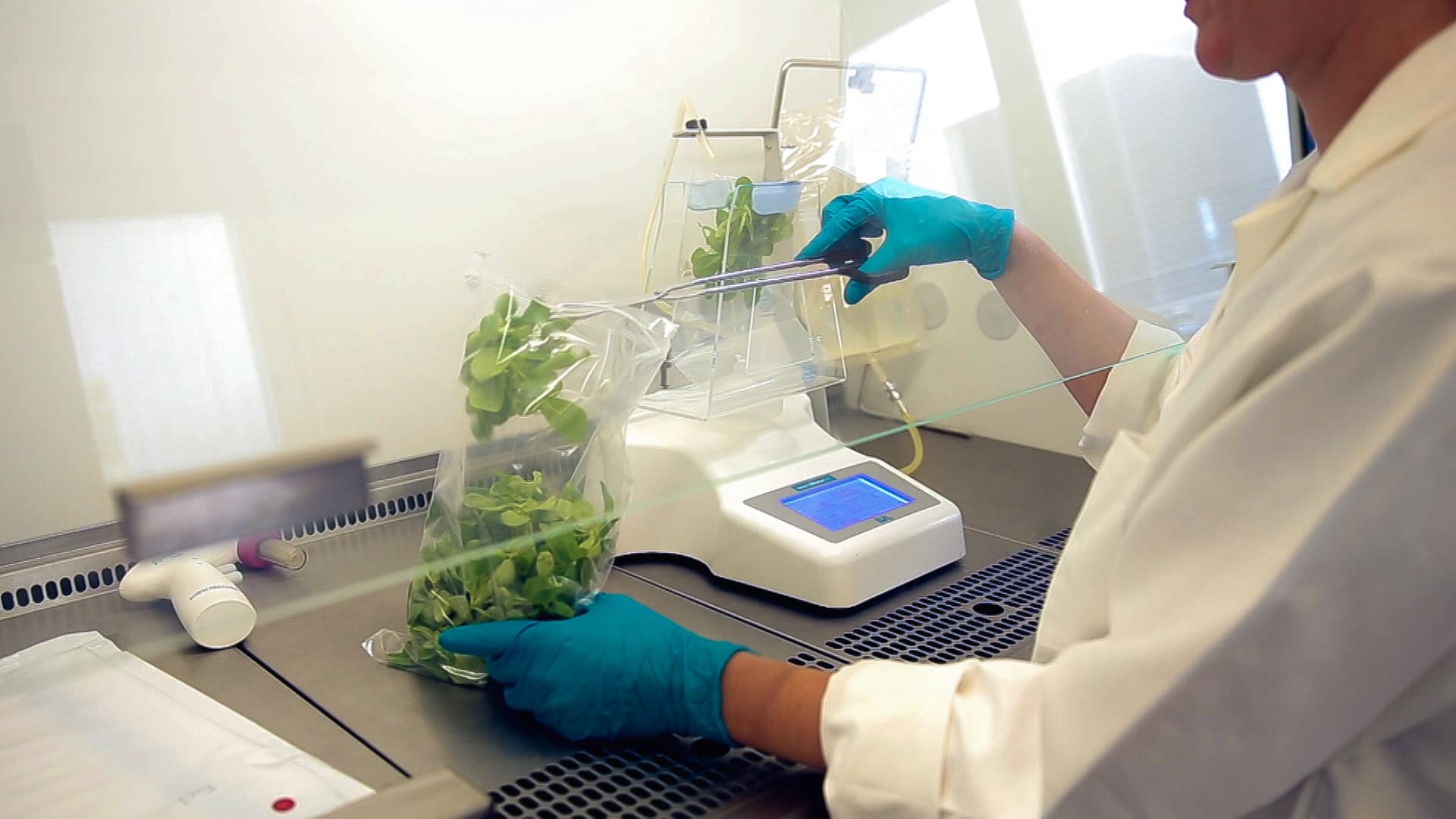 Laboratoire D Analyse Laboratoire D Analyse